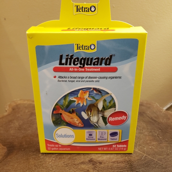 top fin | Fish | 5 Fish Bundle | Poshmark